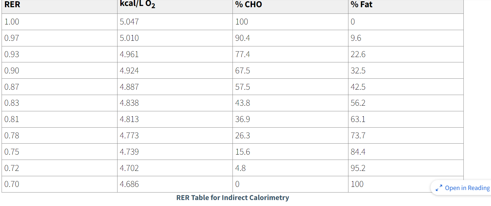 כמה קלוריות שורפים ביום? המדריך המלא למדידת הוצאה קלורית - TBM Academy